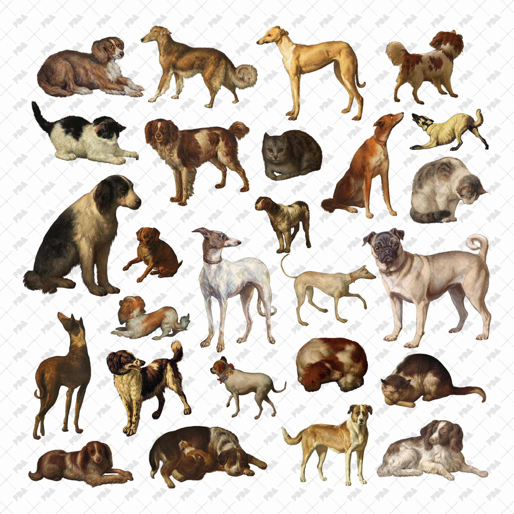 Dogs and Cats Cutouts