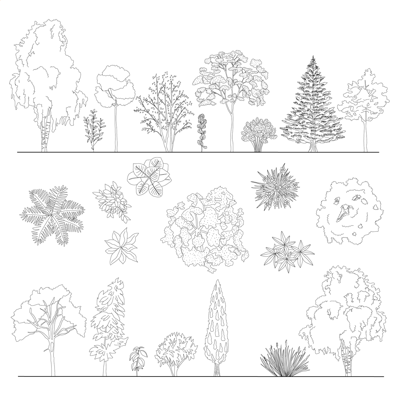 CAD, Vector Trees and Plants in Top and Side View Set