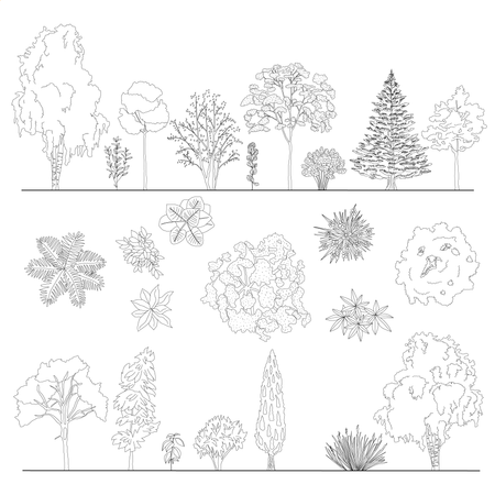 CAD, Vector Trees and Plants in Top and Side View Set | Post Digital ...