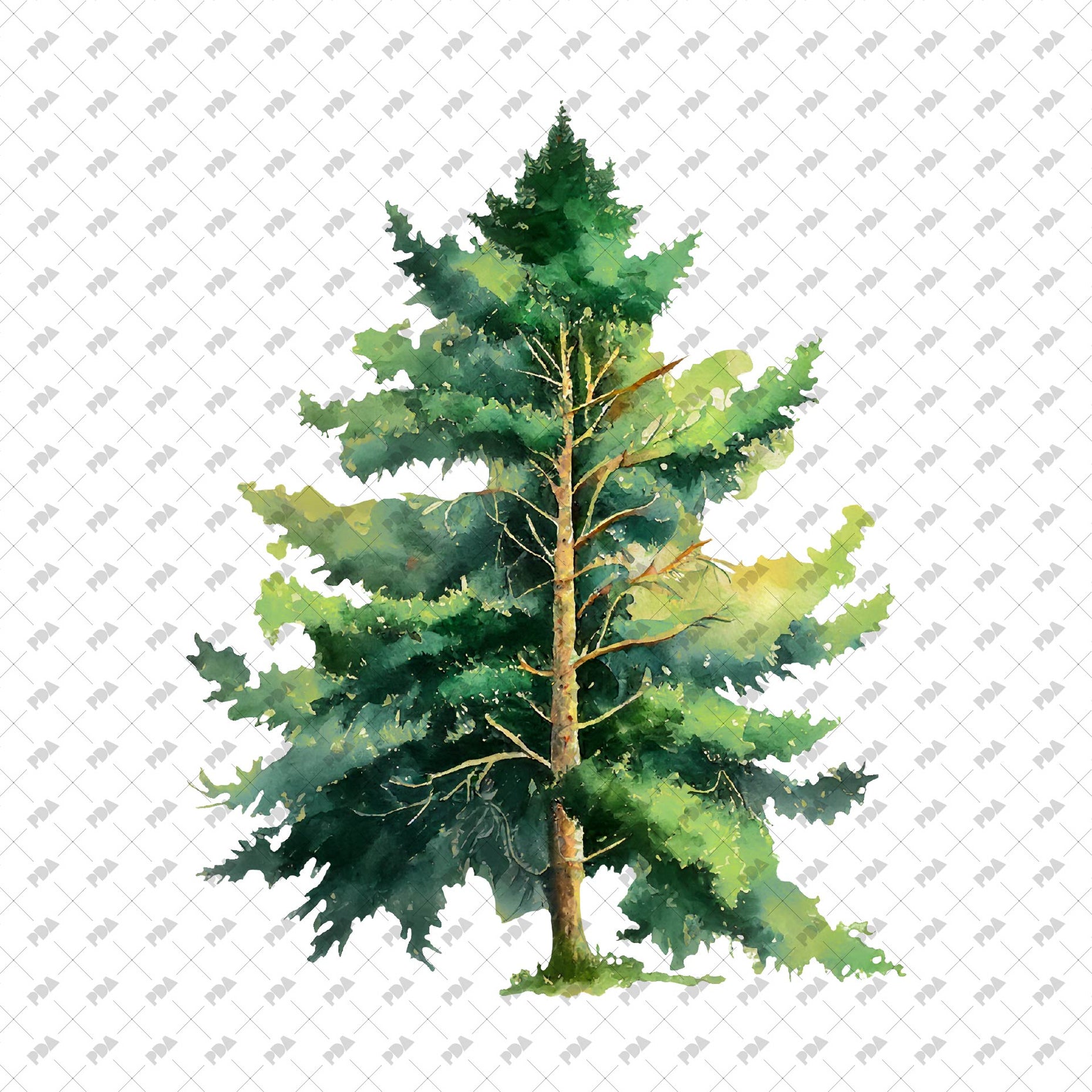 PNG Watercolor Trees and Plants Set (Front view)