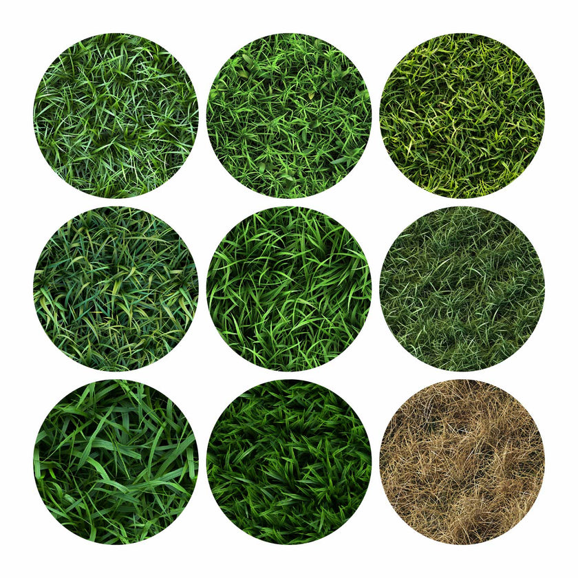 Pattern Library - Seamless Grass Textures | Post Digital Architecture