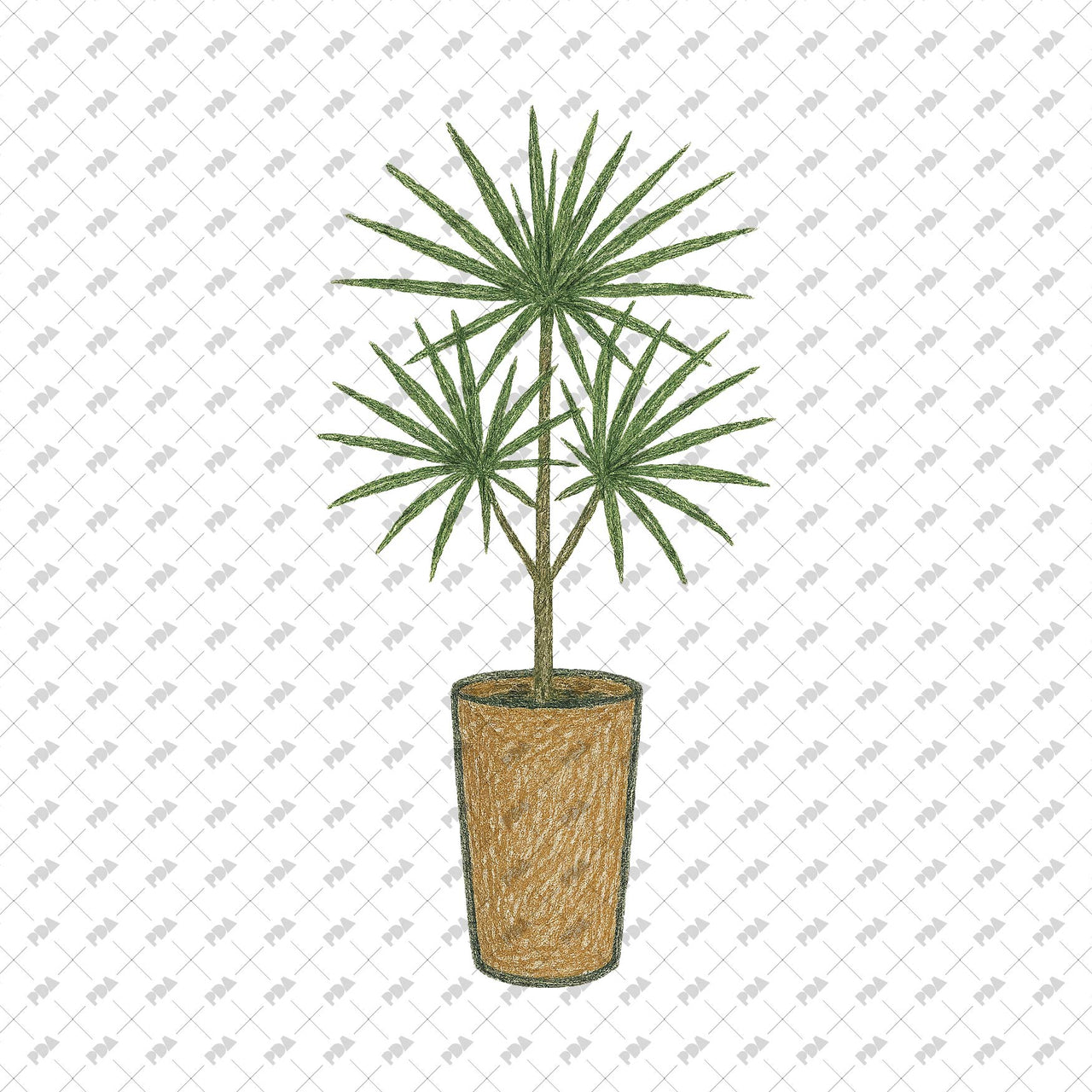 PNG Rough Hand-Drawn Plant Cutouts