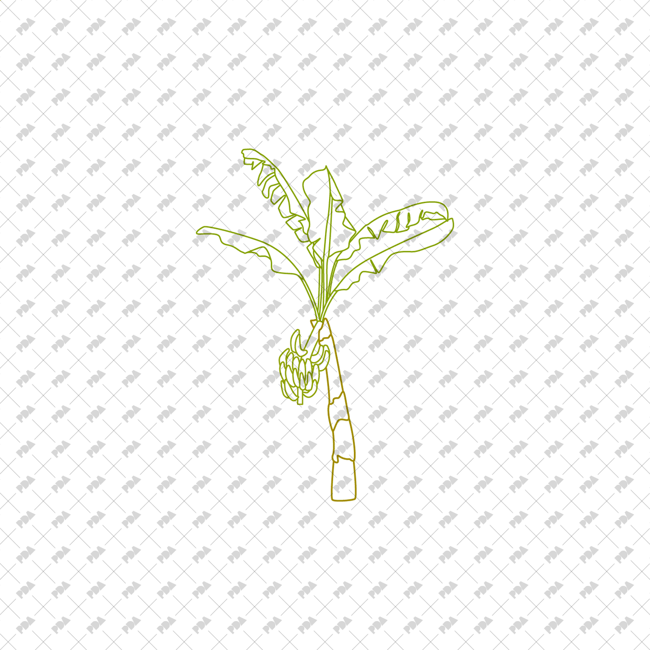 CAD, Vector Fruit Trees in Color and B/W