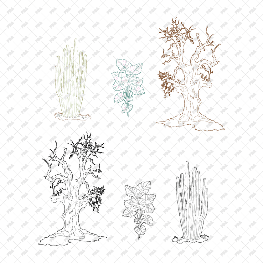 CAD, Vector, PNG Plants in Color and B/W
