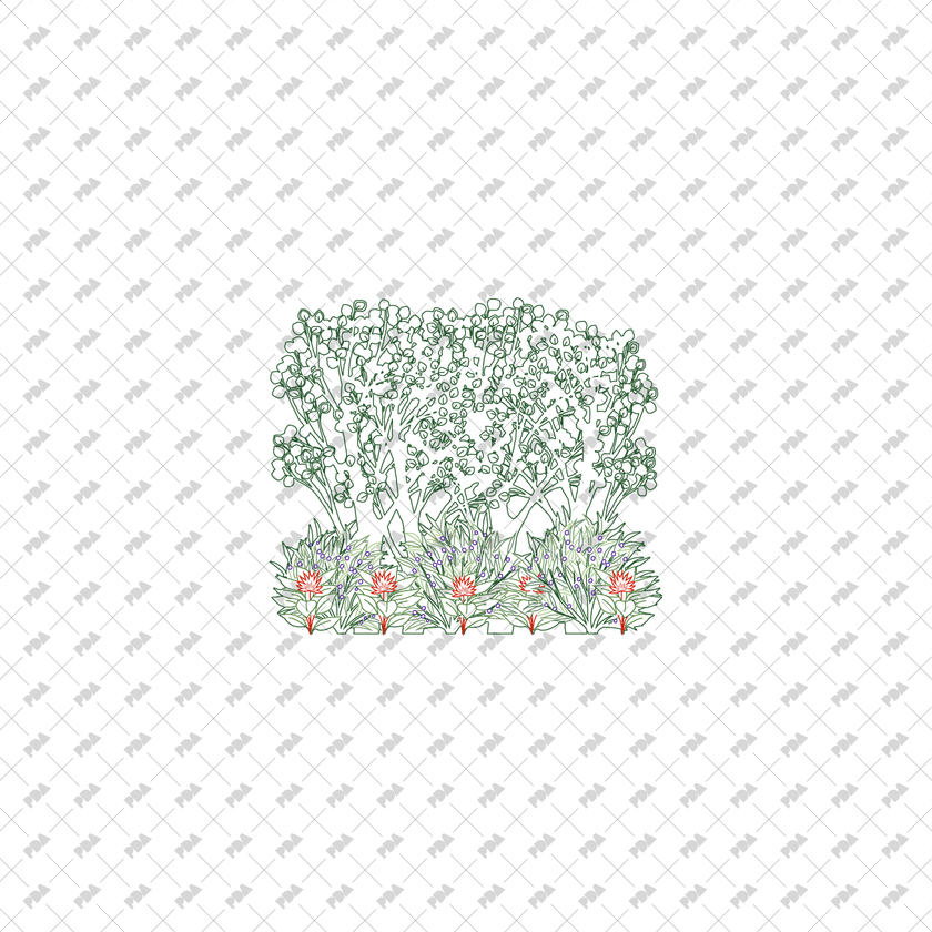 CAD, Vector Groves of Trees in Color and B/W | Post Digital Architecture