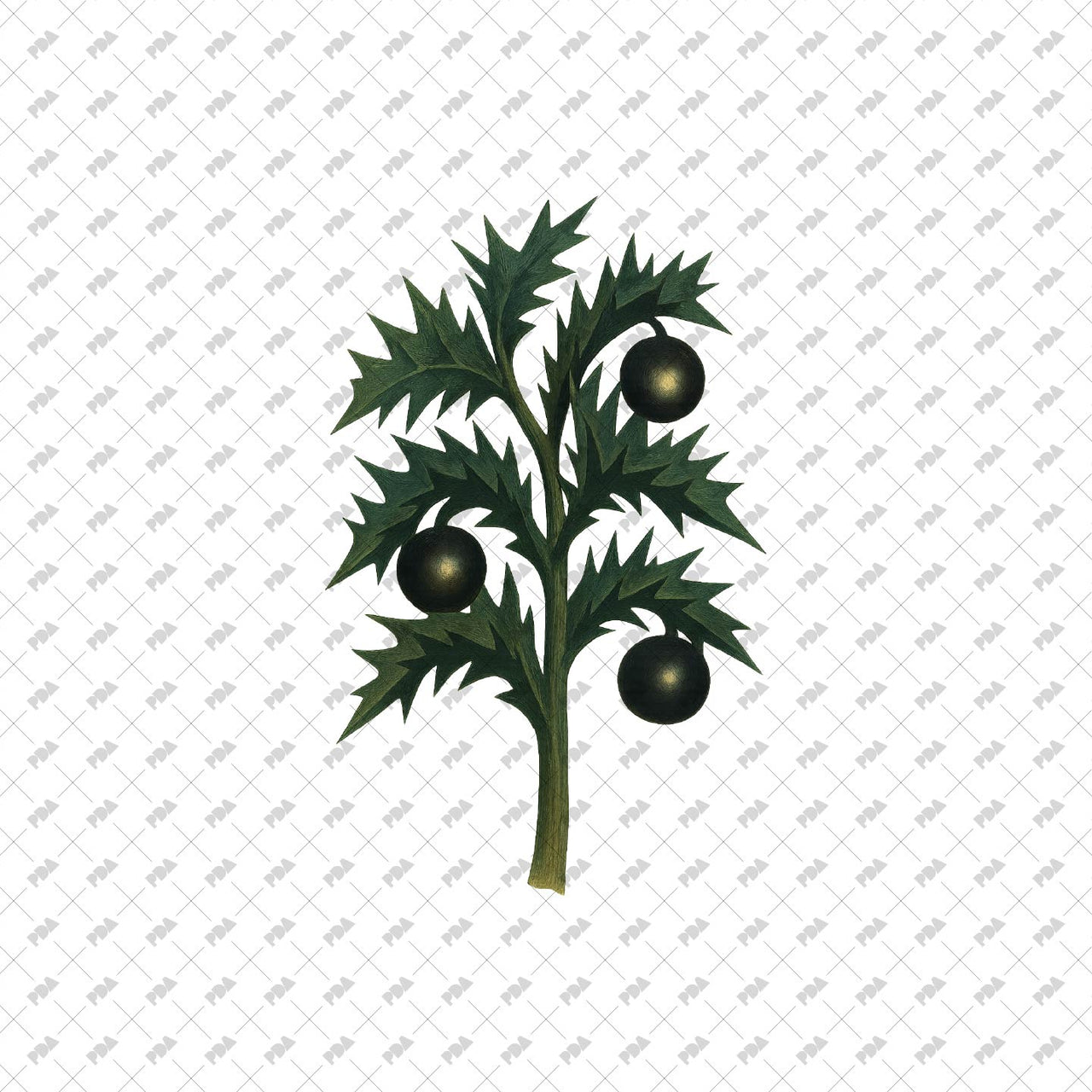 PNG Cutout Plants and Trees – Post Digital Architecture