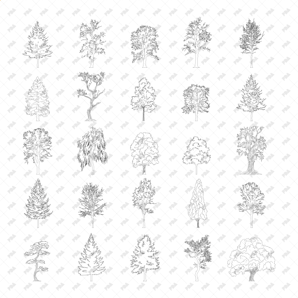 CAD & Vector Tree Illustrations for Architectural Drawings