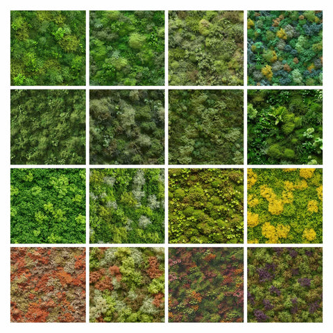 Bibliothèque de motifs - Textures de mousse sans couture