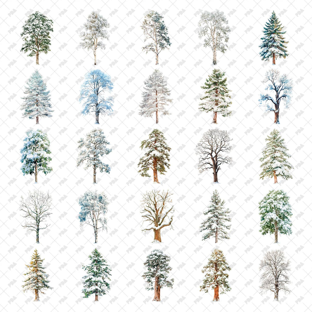 PNG Winter Trees: Front and Side Views for Architects