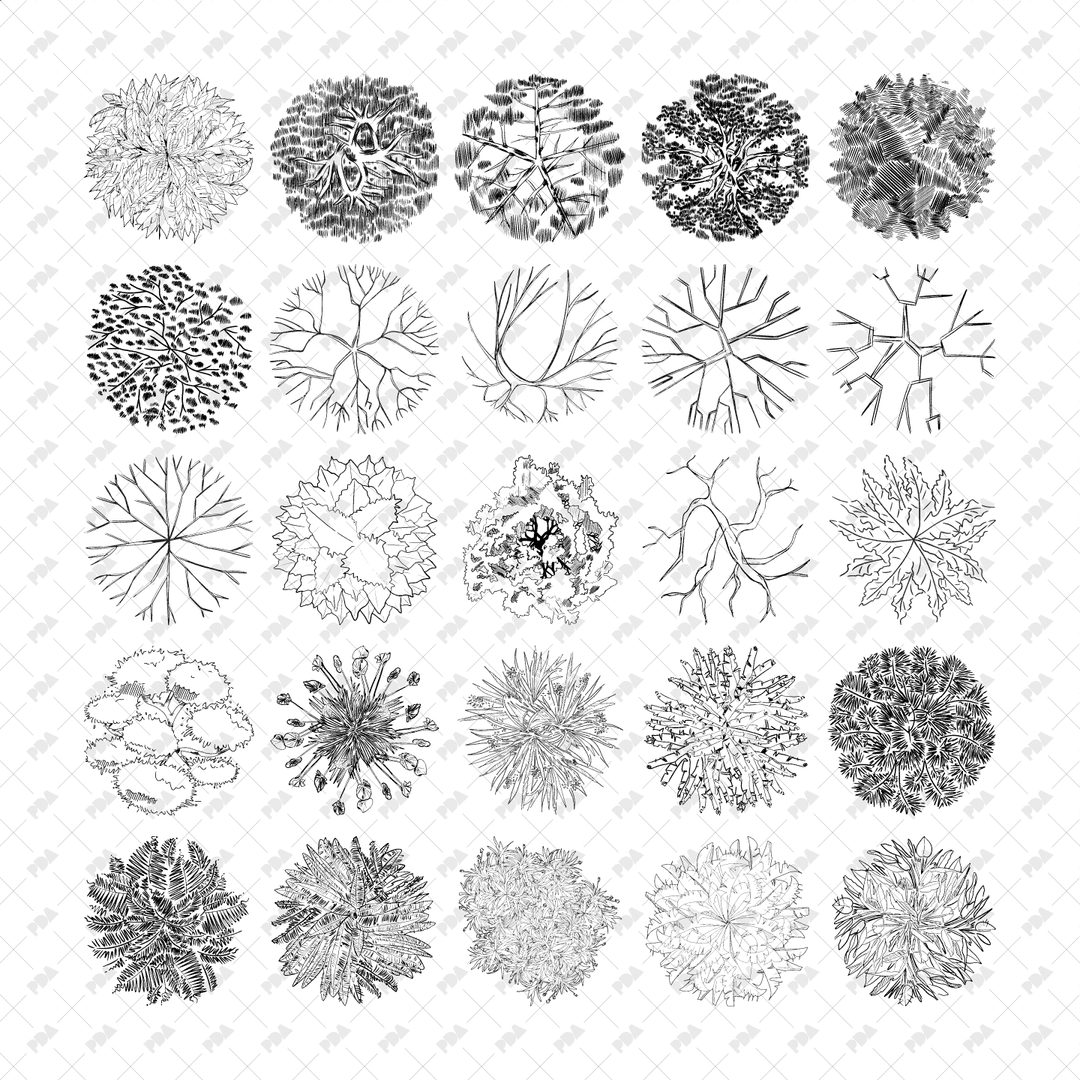 Vectors for Architectural Plans & Illustrations