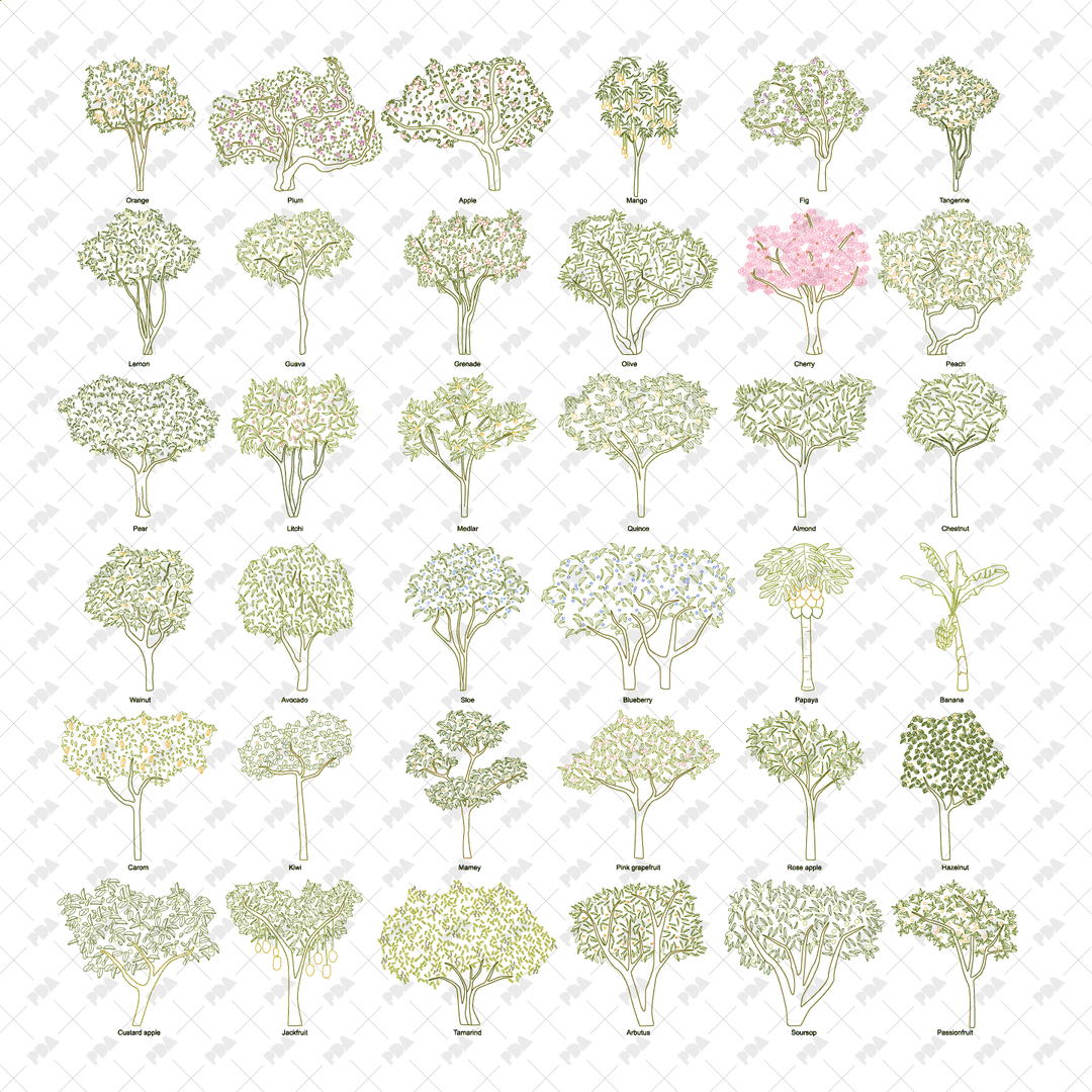 CAD, Vector Fruit Trees in Color and B/W