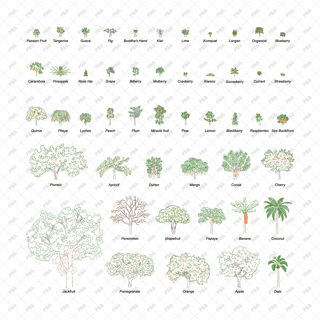 CAD, Vector Fruit Trees and Plants in Color