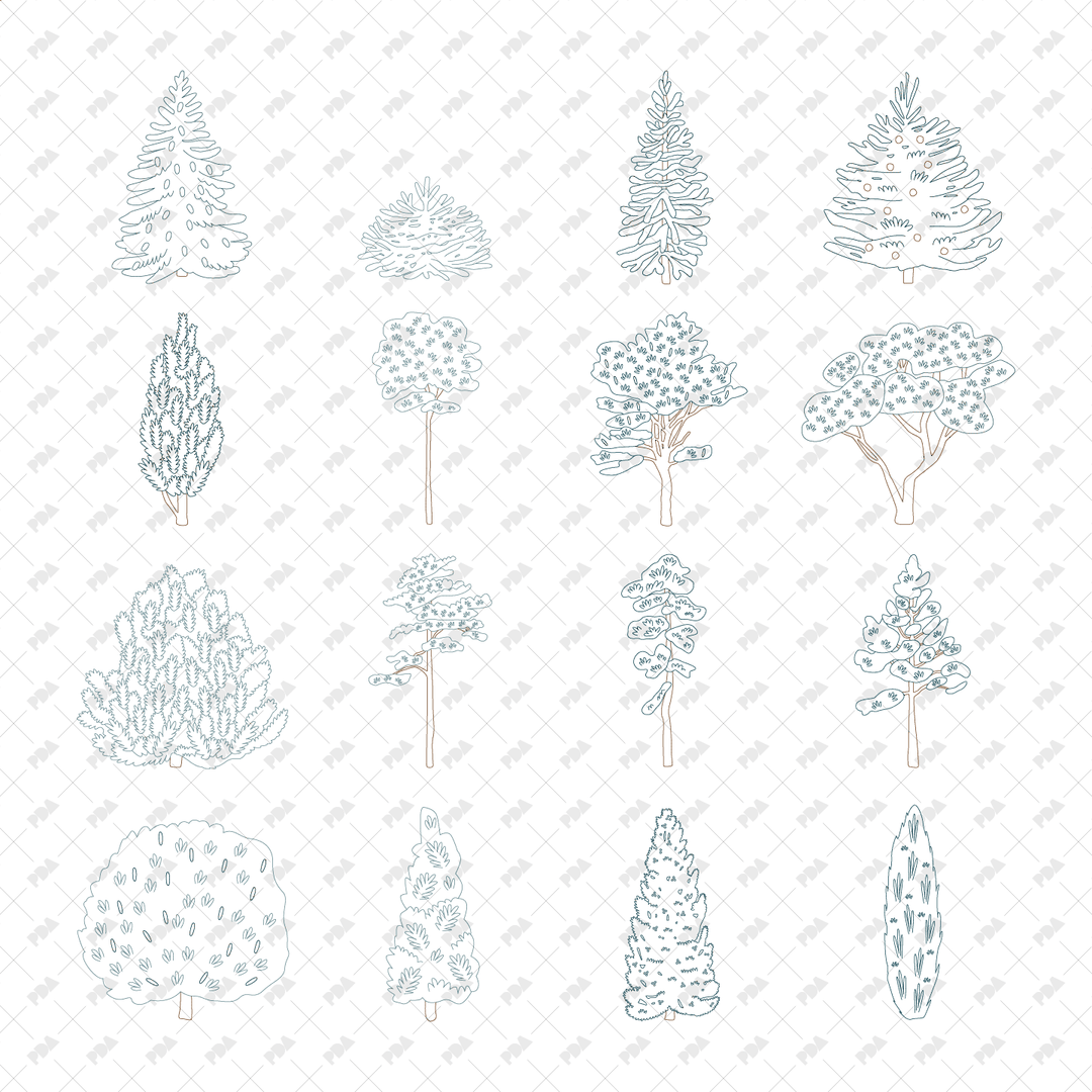 Hand Drawn Coniferous Trees (Side view) – Post Digital Architecture