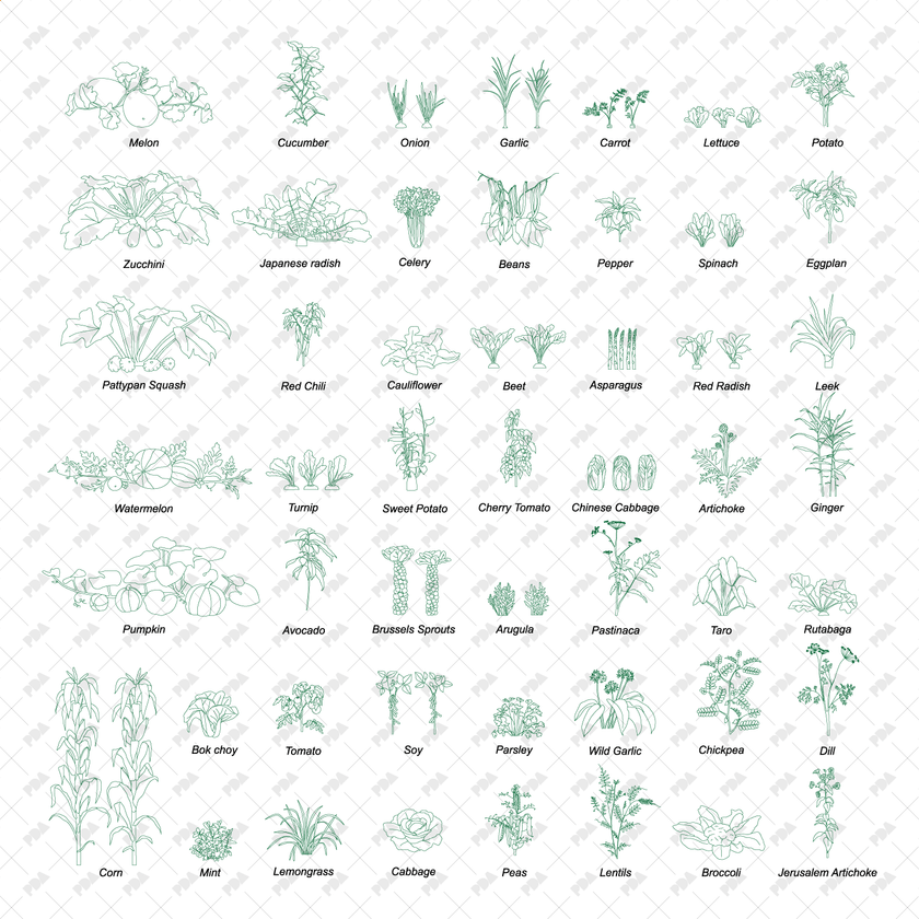 CAD Vector Vegetable Plants Multi-Pack