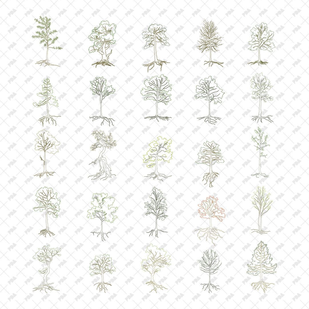 CAD, Vector Trees with Roots in Color and B/W