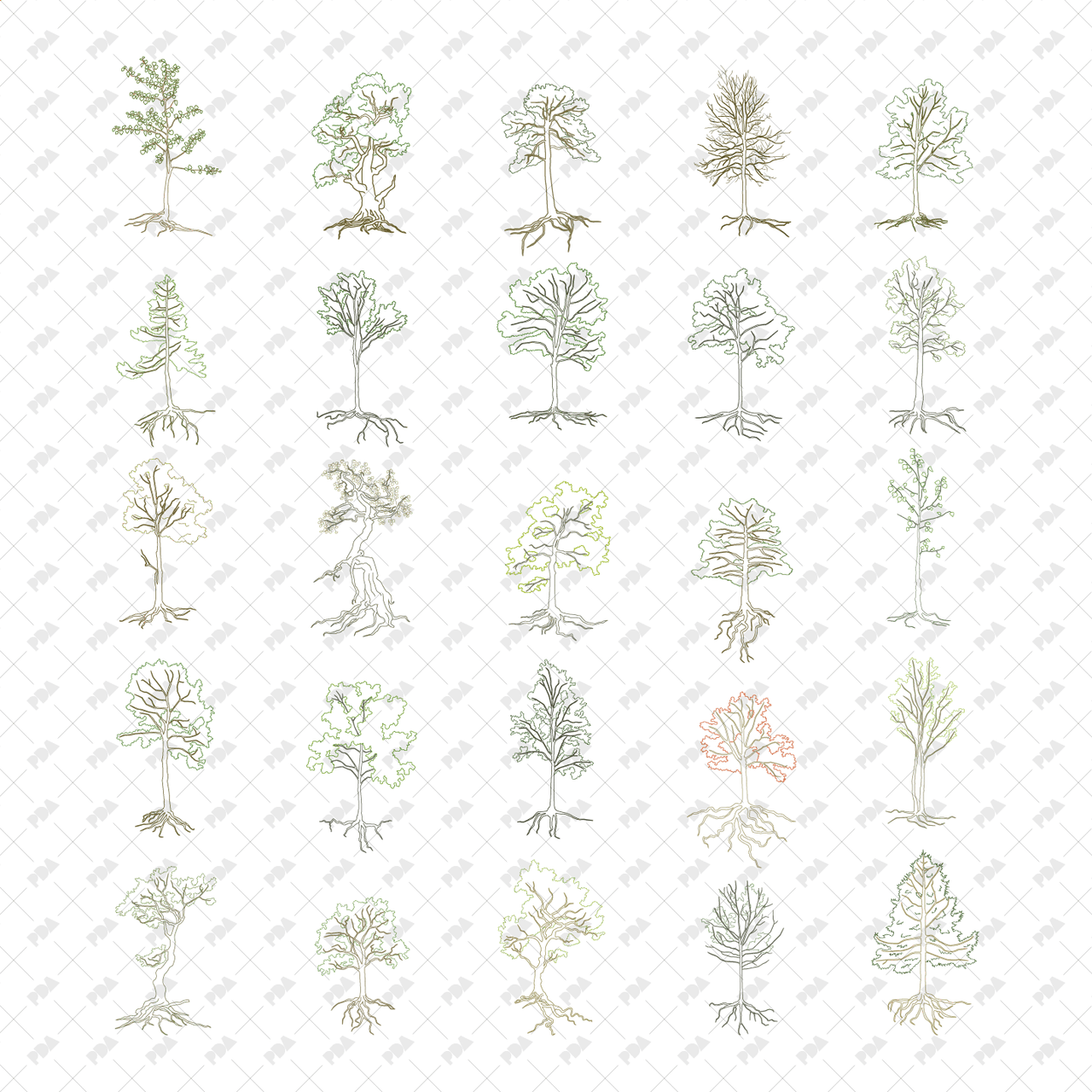 CAD, Vector Trees with Roots in Color and B/W