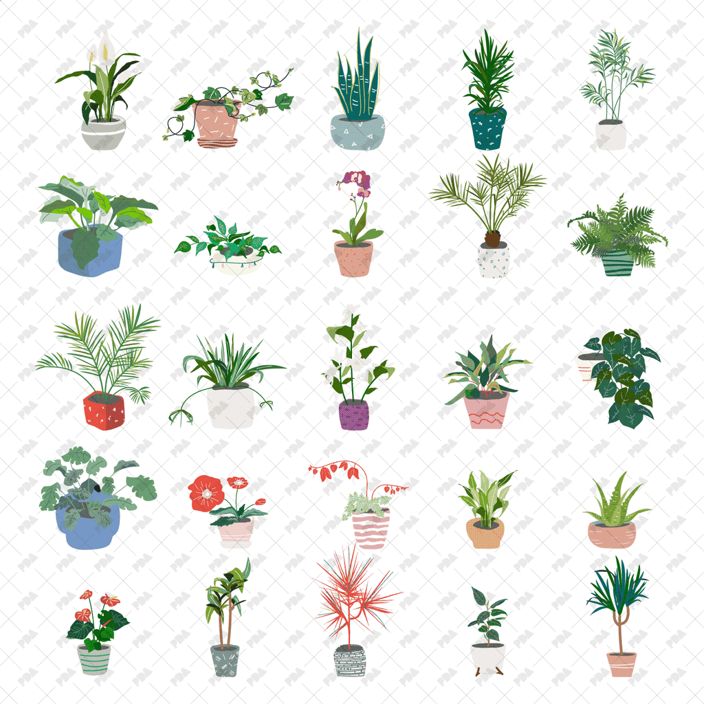 Vector & PNG Indoor and Outdoor Plants with Planters