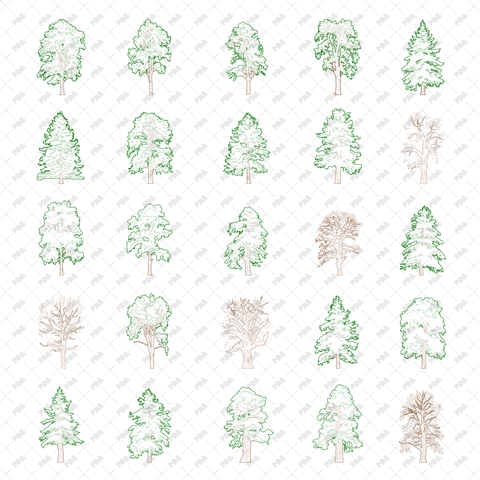 CAD, Vector, PNG Winter Trees in Color and B/W