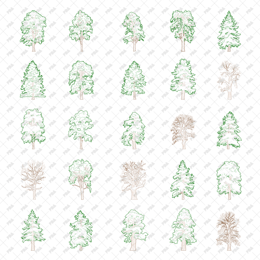 CAD, Vector, PNG Winter Trees in Color and B/W