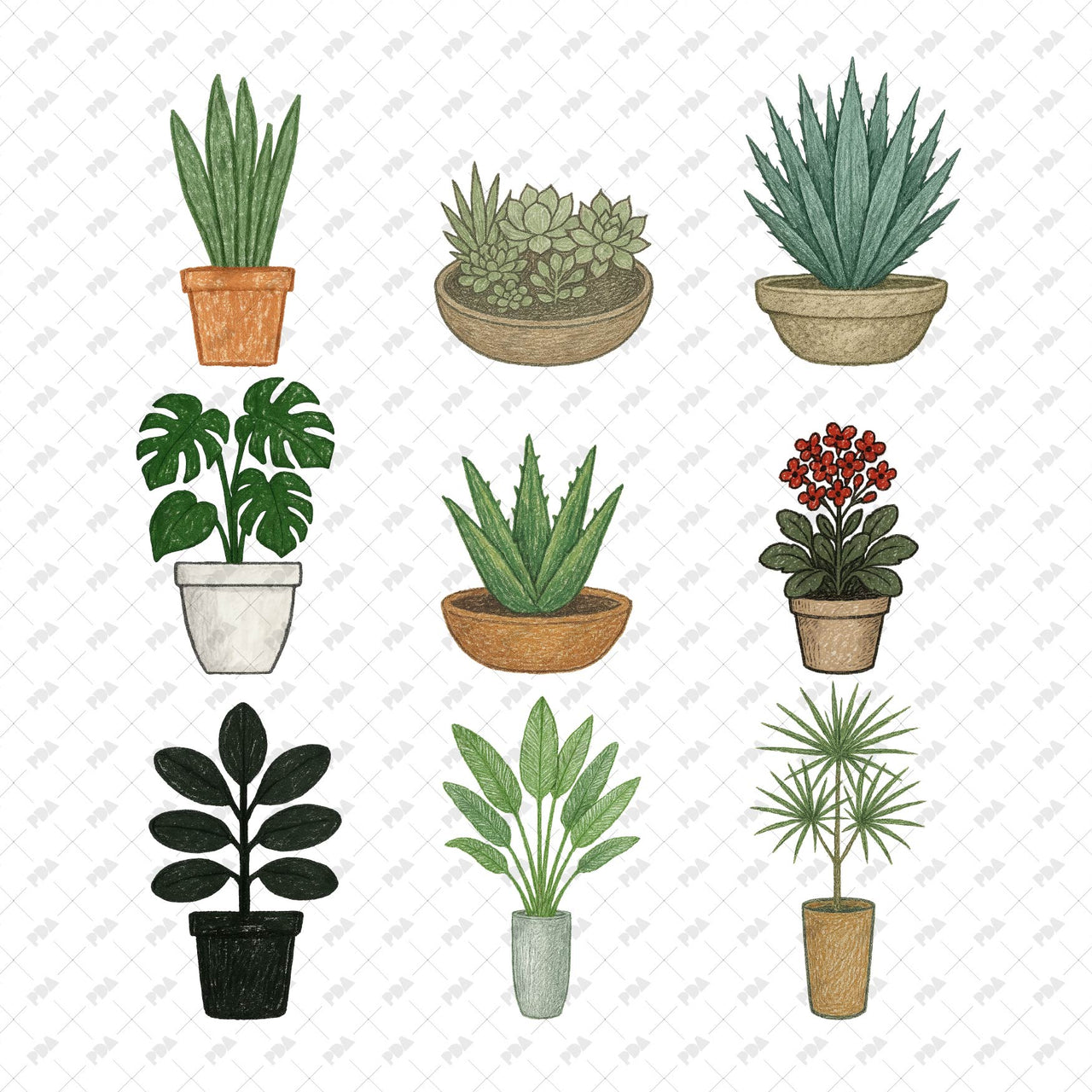 PNG Rough Hand-Drawn Plant Cutouts