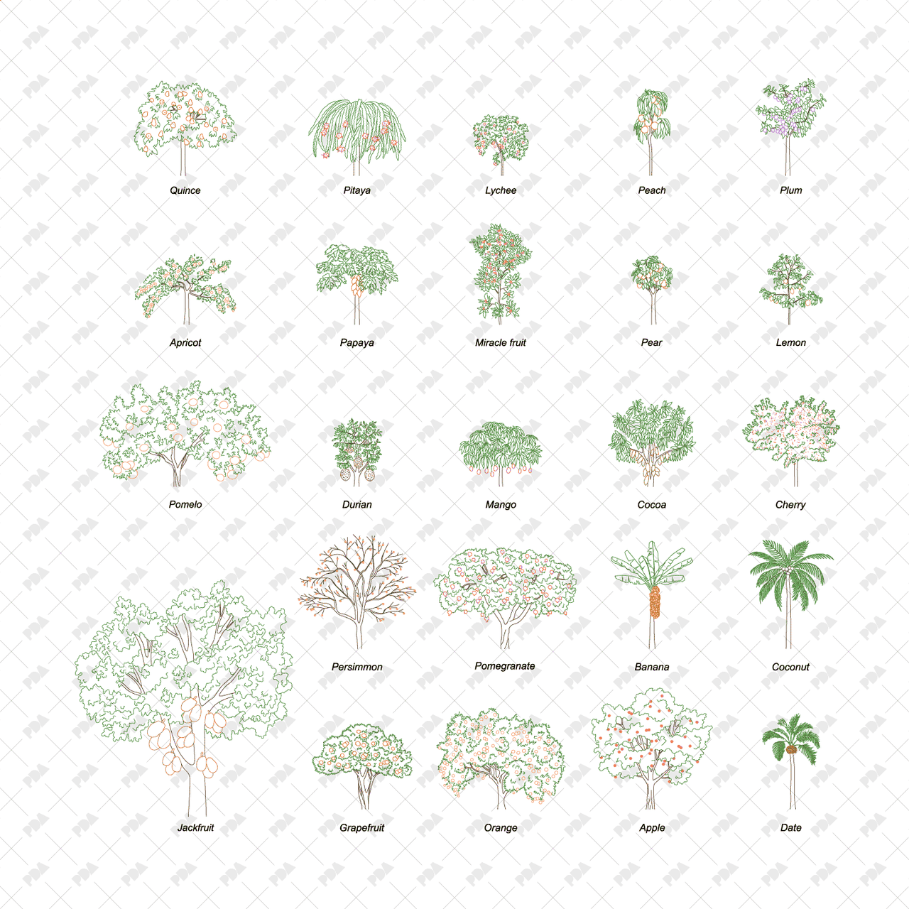CAD, Vector Fruit Trees and Plants in Color