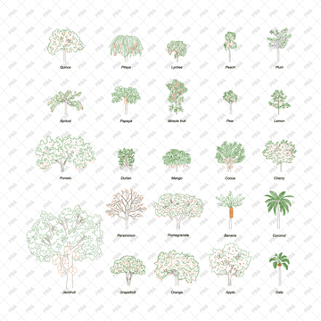 CAD, Vector Fruit Trees and Plants in Color