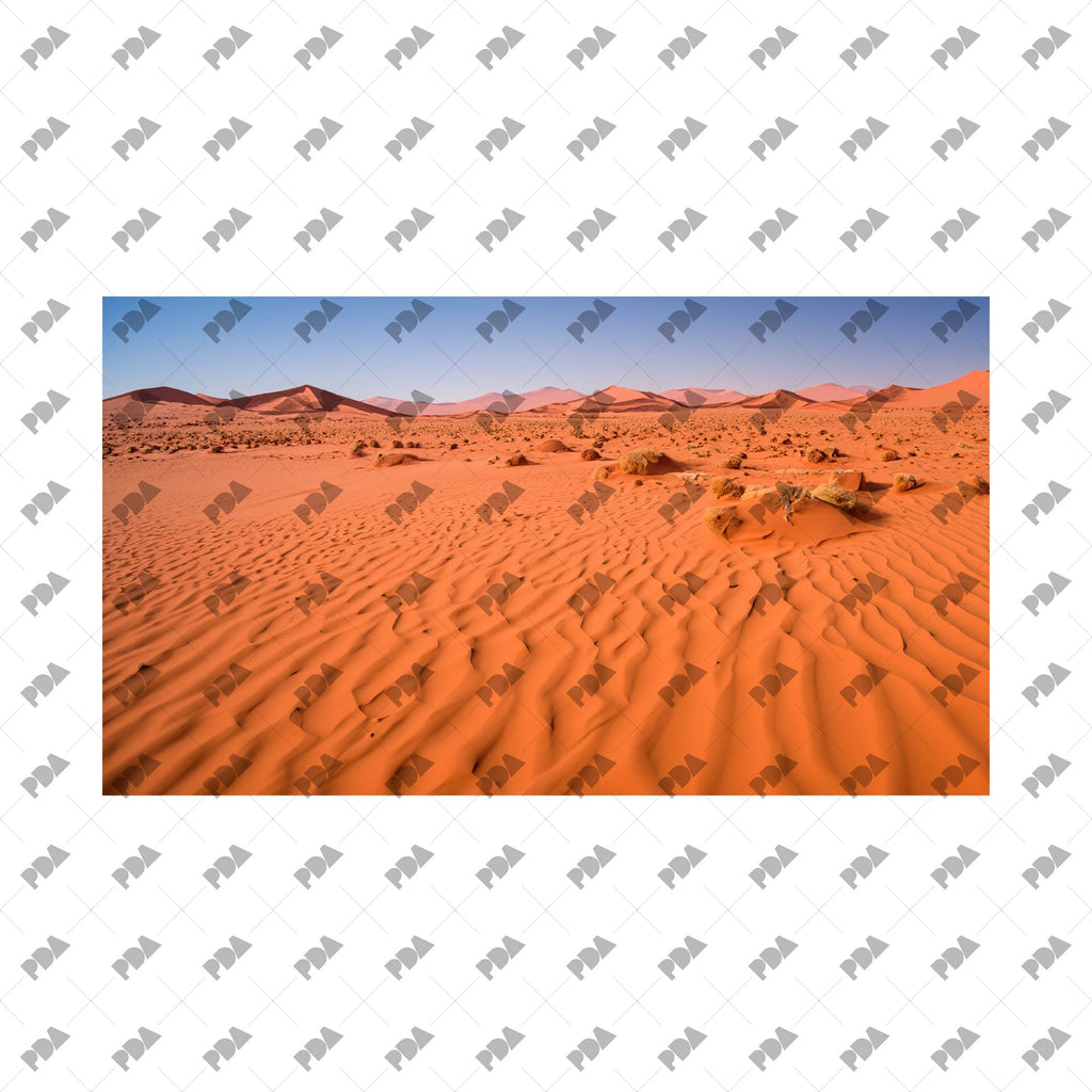 Desert Backgrounds for Collages & Renderings