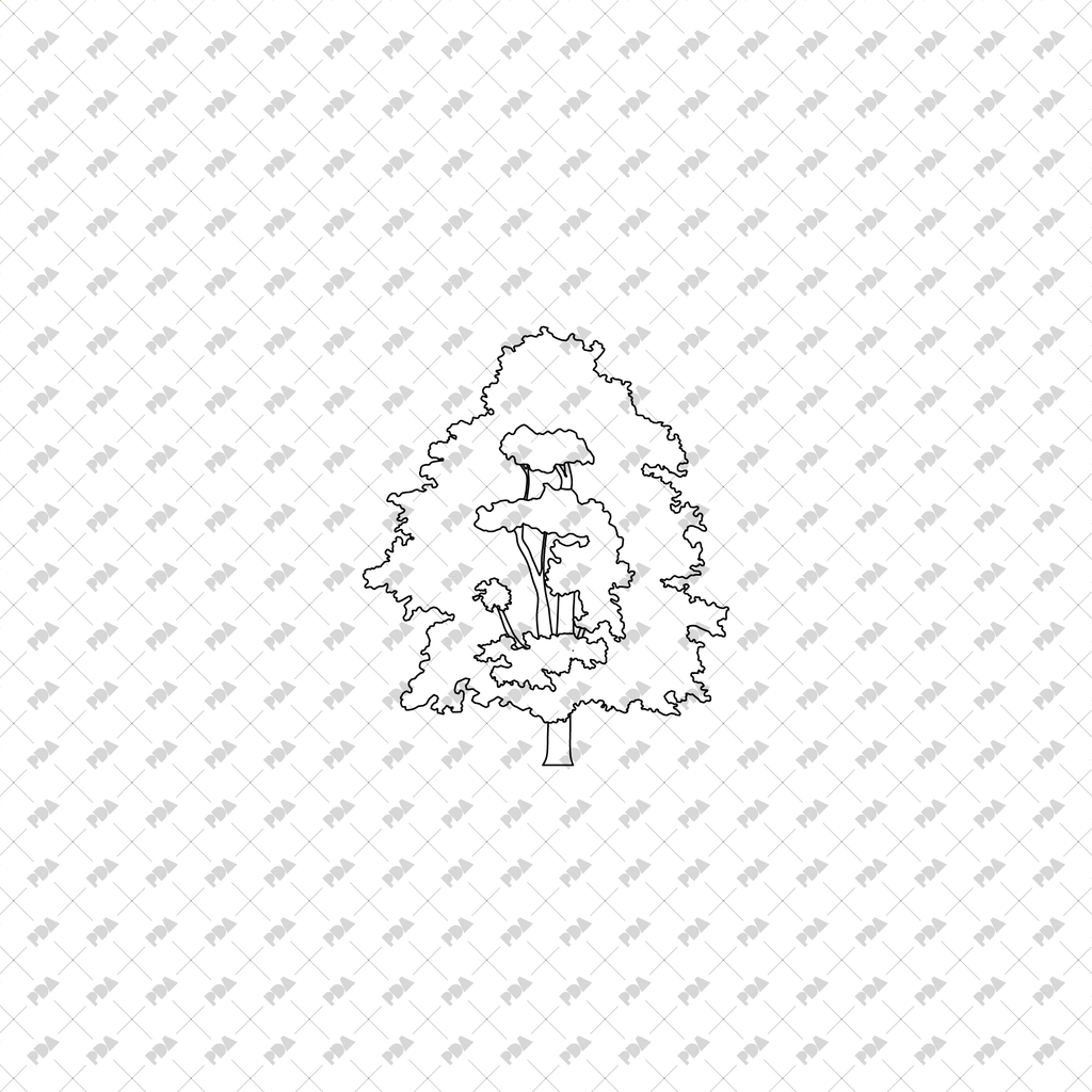 CAD, Vector Trees Set (Top and Side View)
