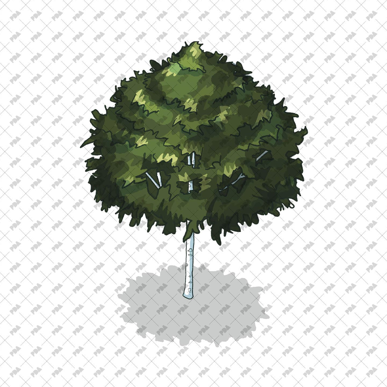 Isometric Hand Drawn Trees with and without shadows