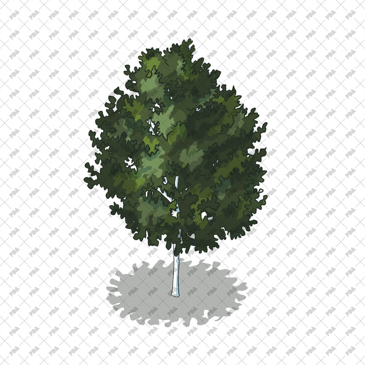 Isometric Hand Drawn Trees with and without shadows – Post Digital ...