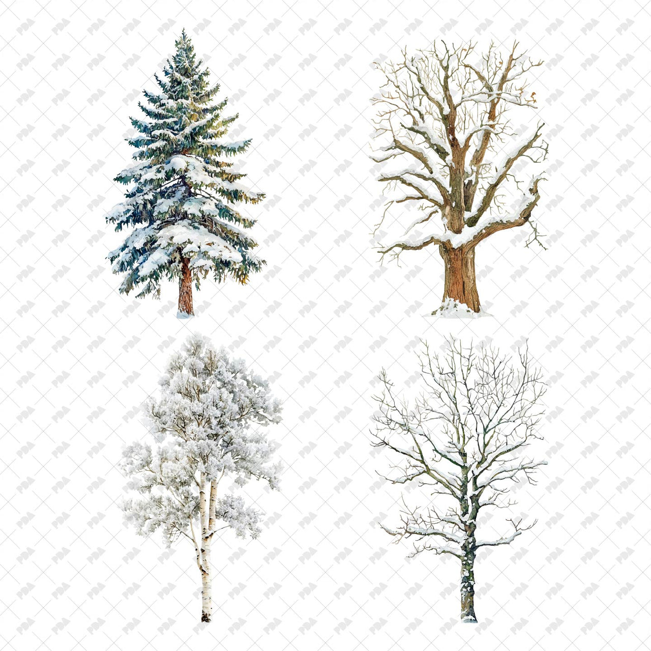 PNG Winter Trees | Post Digital Architecture