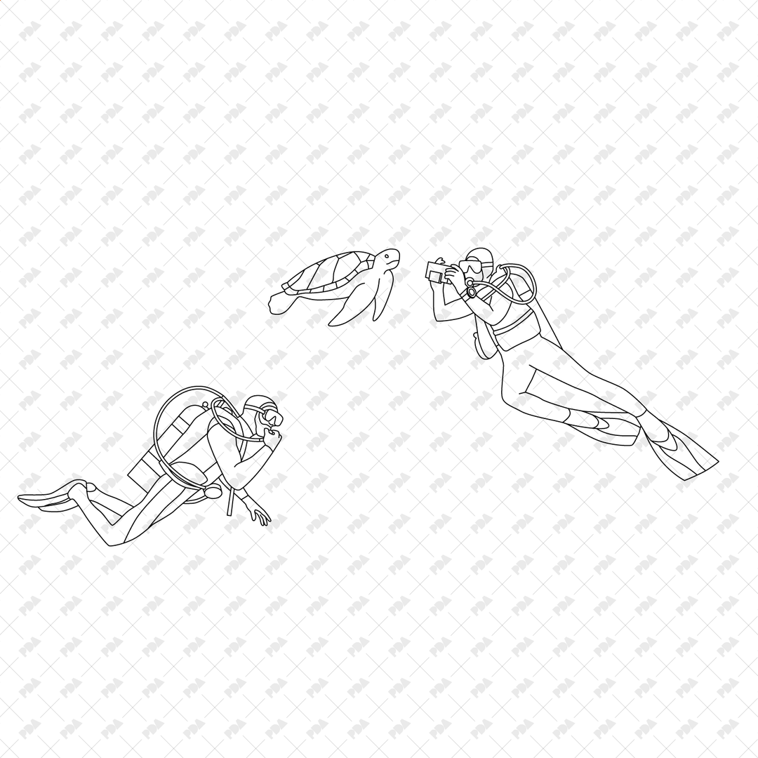 CAD, Vector Swimmers and Divers in Top, Side, Bottom Views