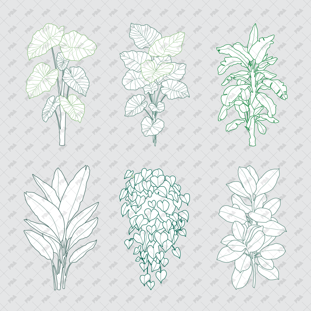 CAD, Vector, PNG Plants in Color and B/W
