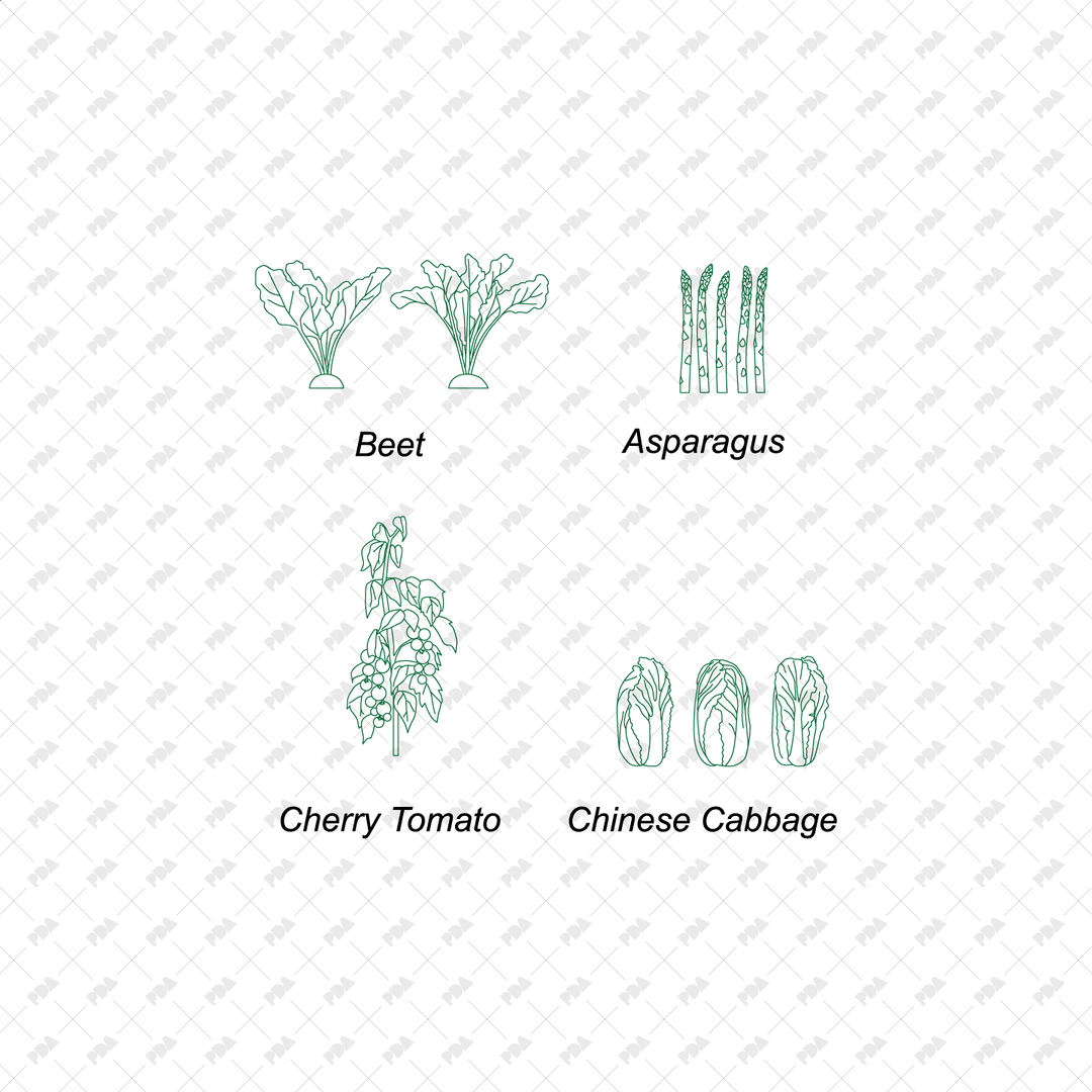 CAD Vector Vegetable Plants Multi-Pack