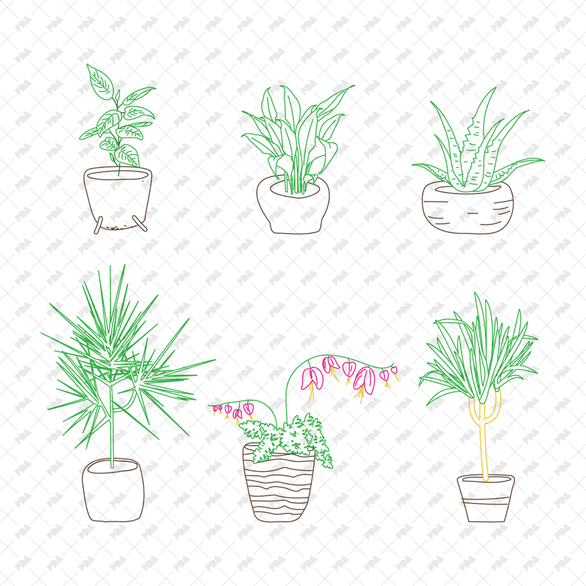 CAD, Vector Indoor Plants in Color