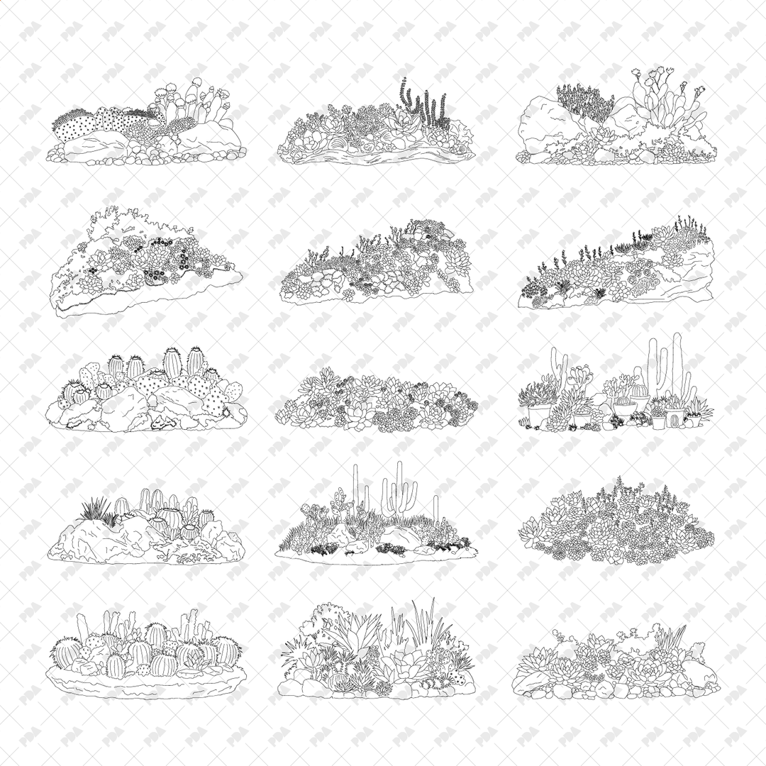 CAD, Vector, PNG Succulent and Cactus Beds in Color and B/W