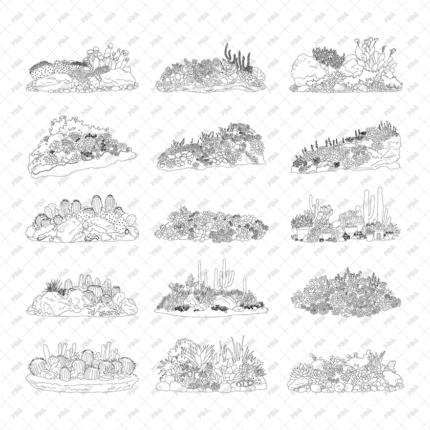 CAD, Vector, PNG Succulent and Cactus Beds in Color and B/W