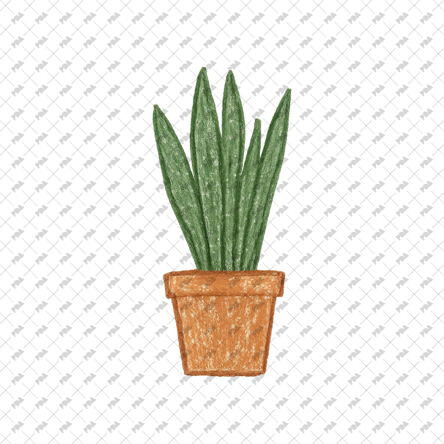 PNG Rough Hand-Drawn Plant Cutouts