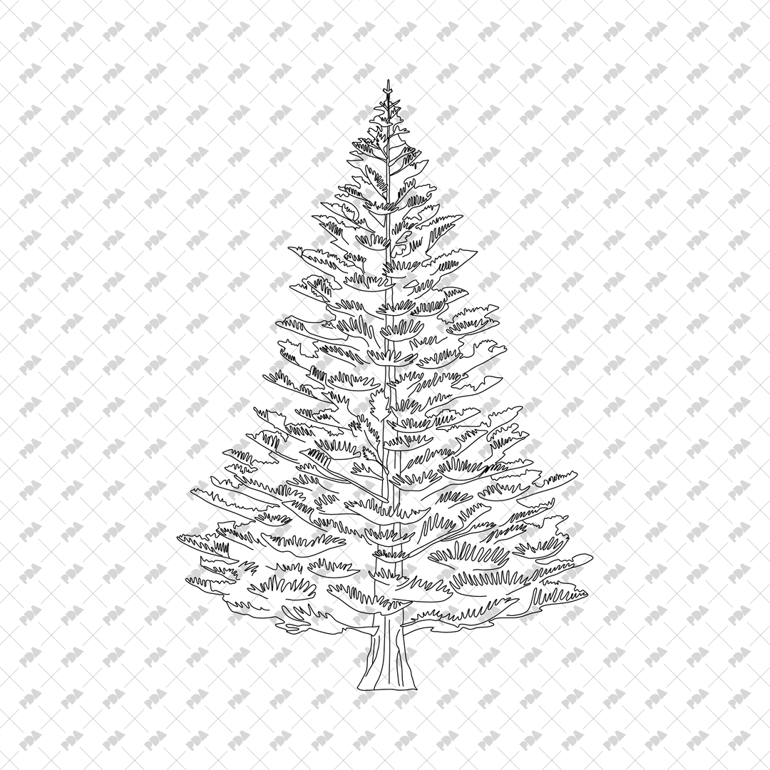 CAD, Vector Trees and Plants in Top and Side View Set