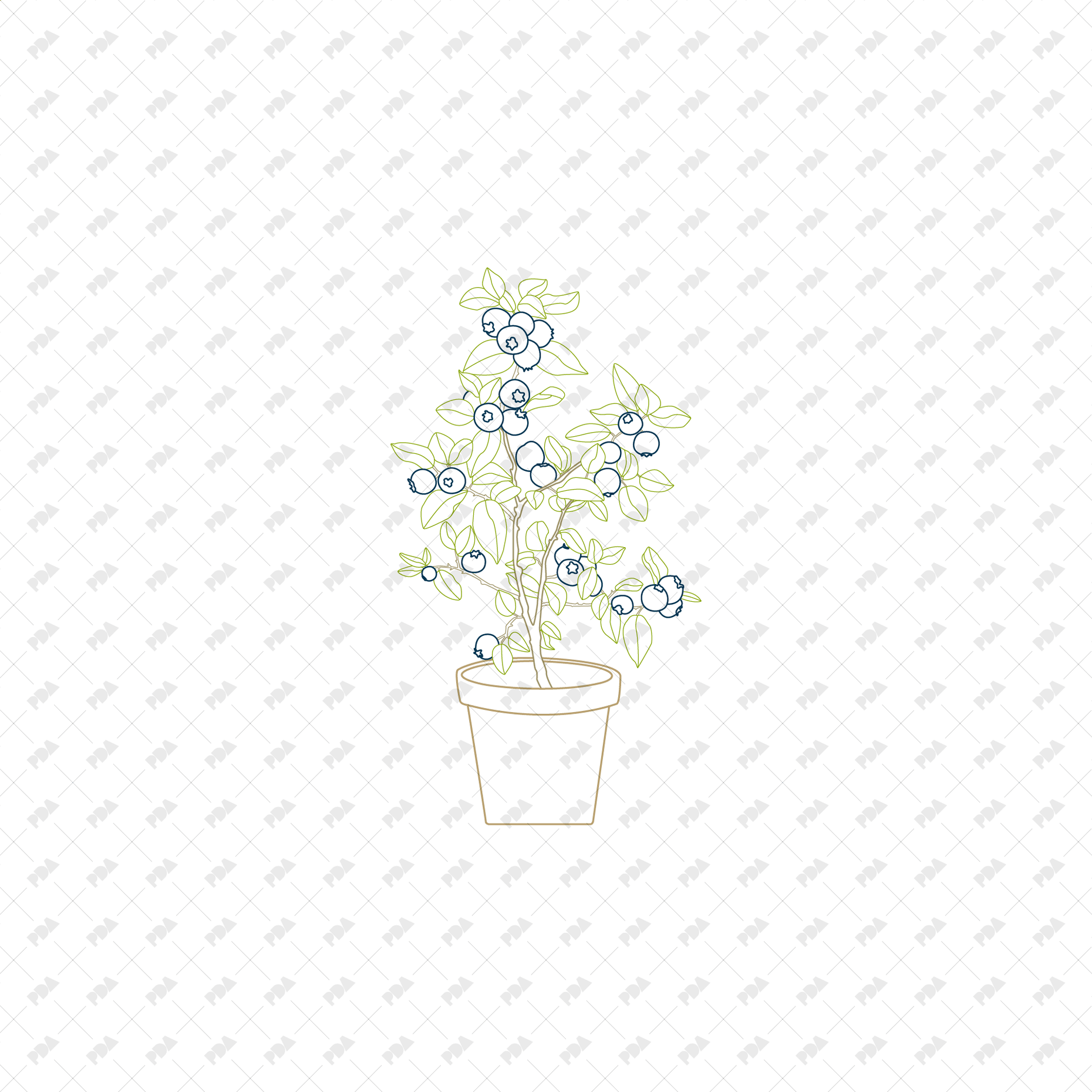 CAD, Vector Potted Fruit Trees and Plants (In color and B/W)