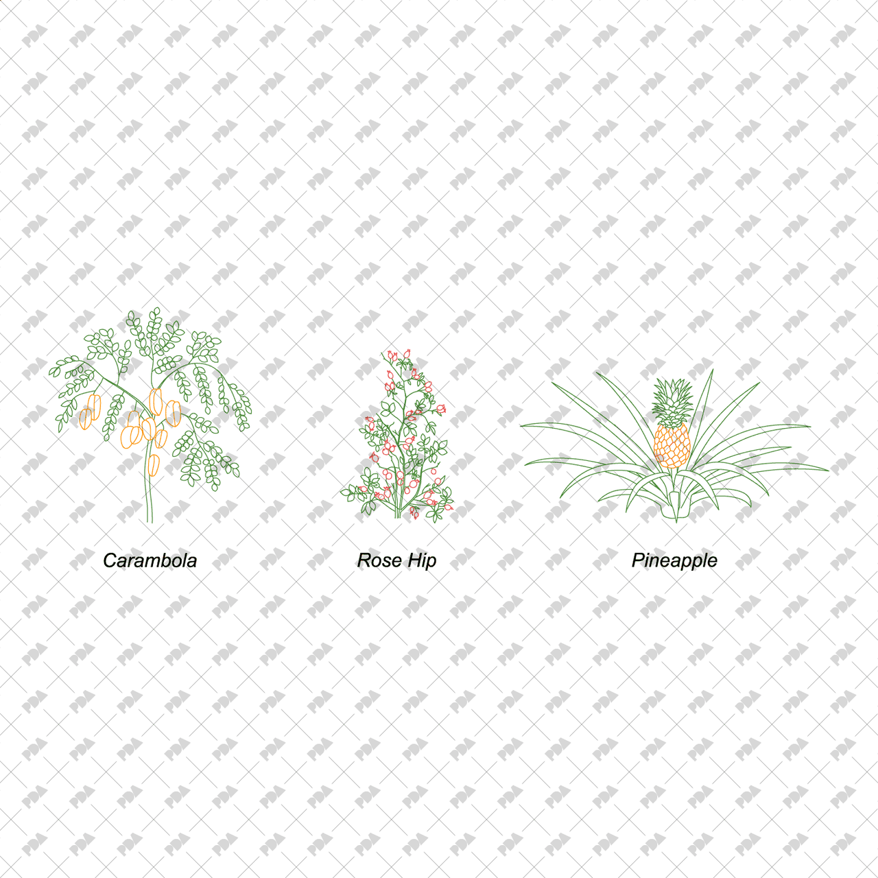 CAD, Vector Fruit Trees and Plants in Color