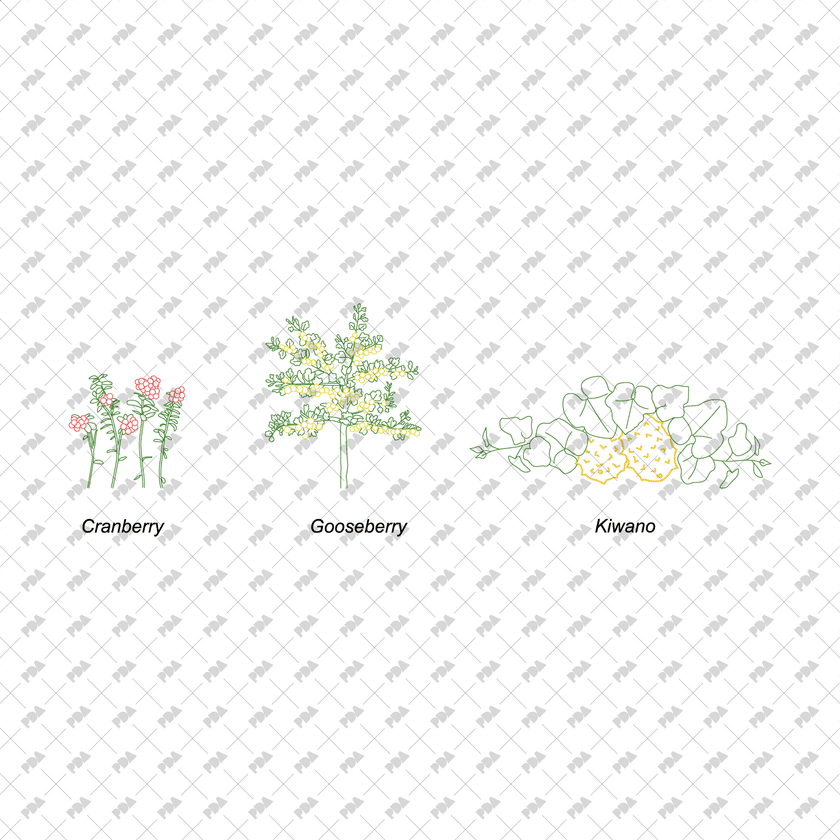 CAD, Vector Fruit Trees and Plants in Color