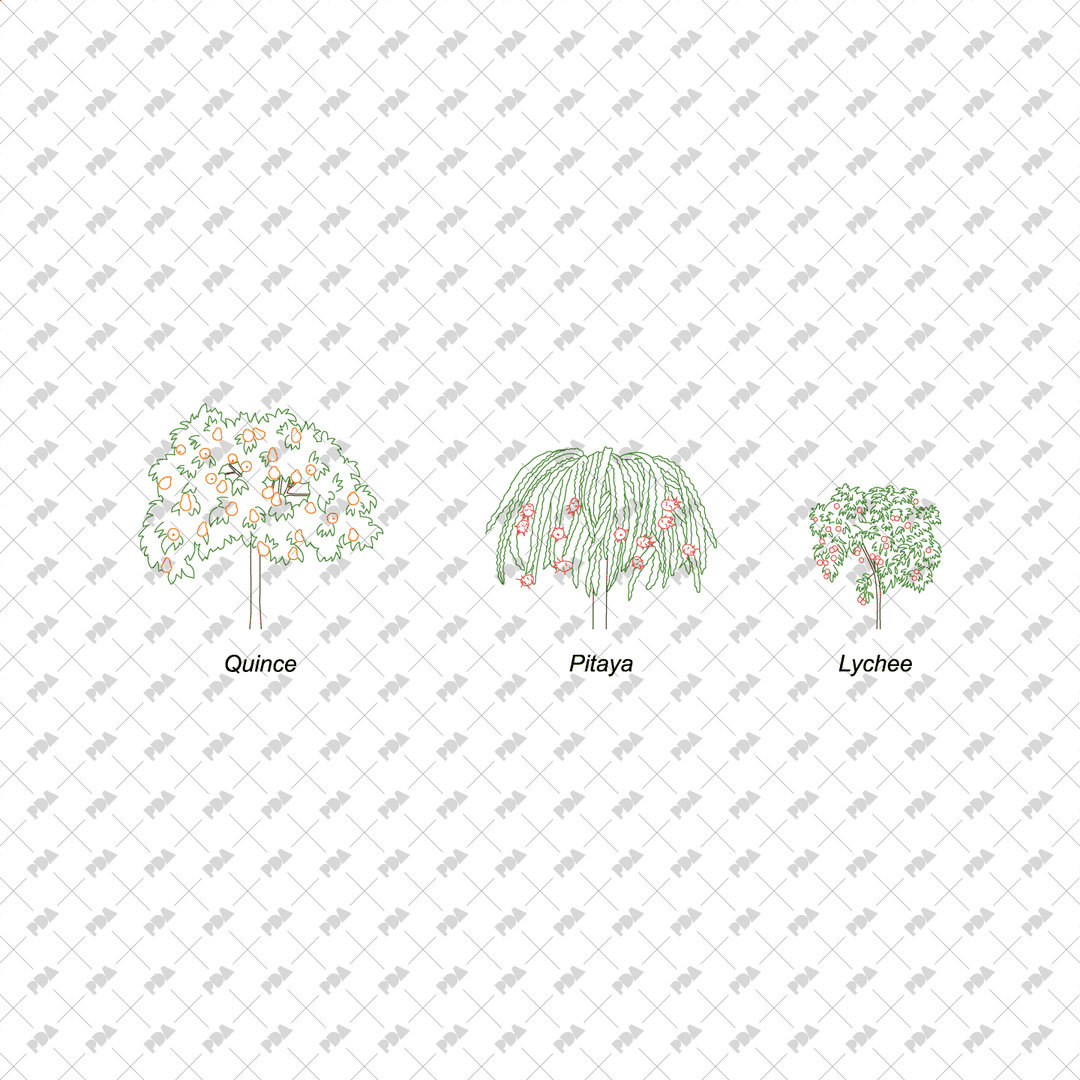 CAD, Vector Fruit Trees and Plants in Color