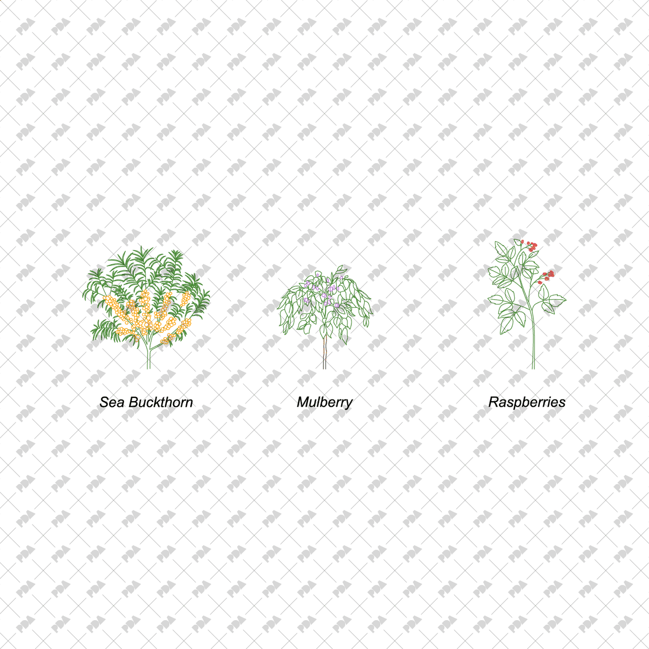 CAD, Vector Fruit Trees and Plants in Color