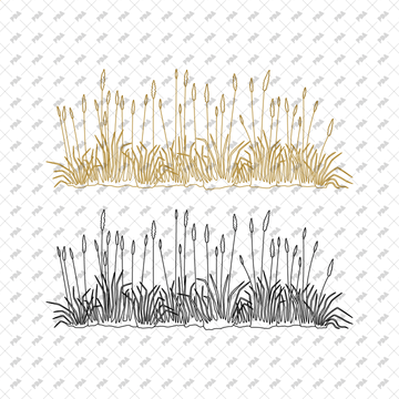 CAD, Vector Grass Beds in Color and B/W | Post Digital Architecture