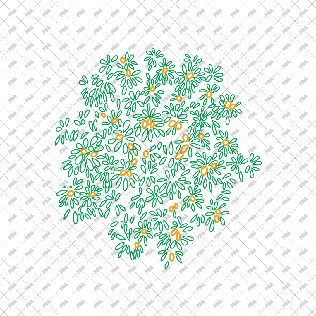 CAD, Vector, PNG Fruit Trees in Color and B/W (Top View)