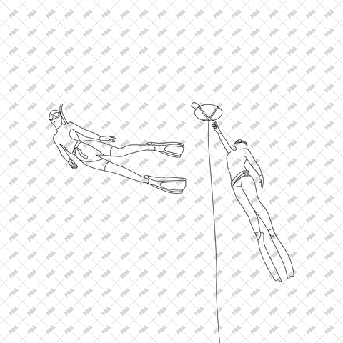 CAD, Vector Swimmers and Divers in Top, Side, Bottom Views