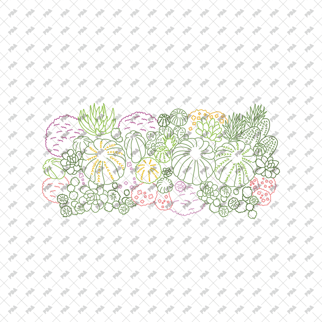 CAD, Vector, PNG Succulent & Cactus Landscapes