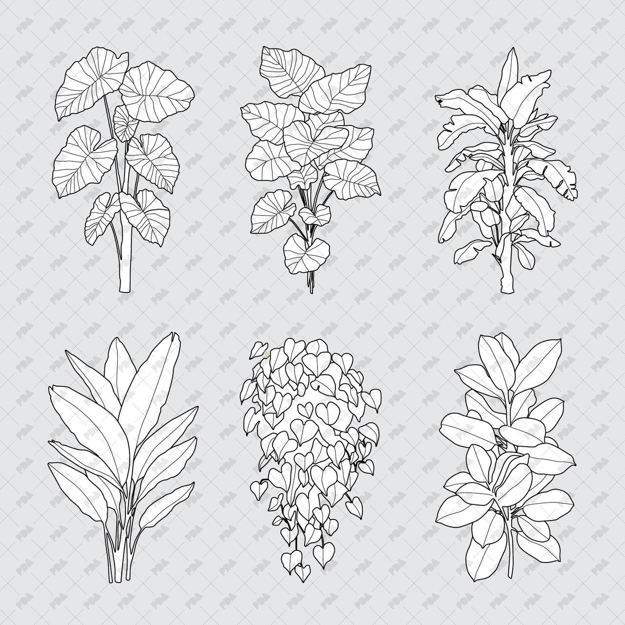 CAD, Vector, PNG Plants in Color and B/W
