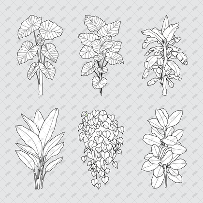 CAD, Vector, PNG Plants in Color and B/W
